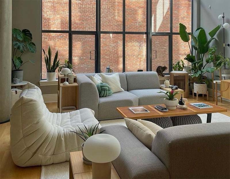 Waterloo's Tropical House Plant Store: Gold Leaf Botanicals